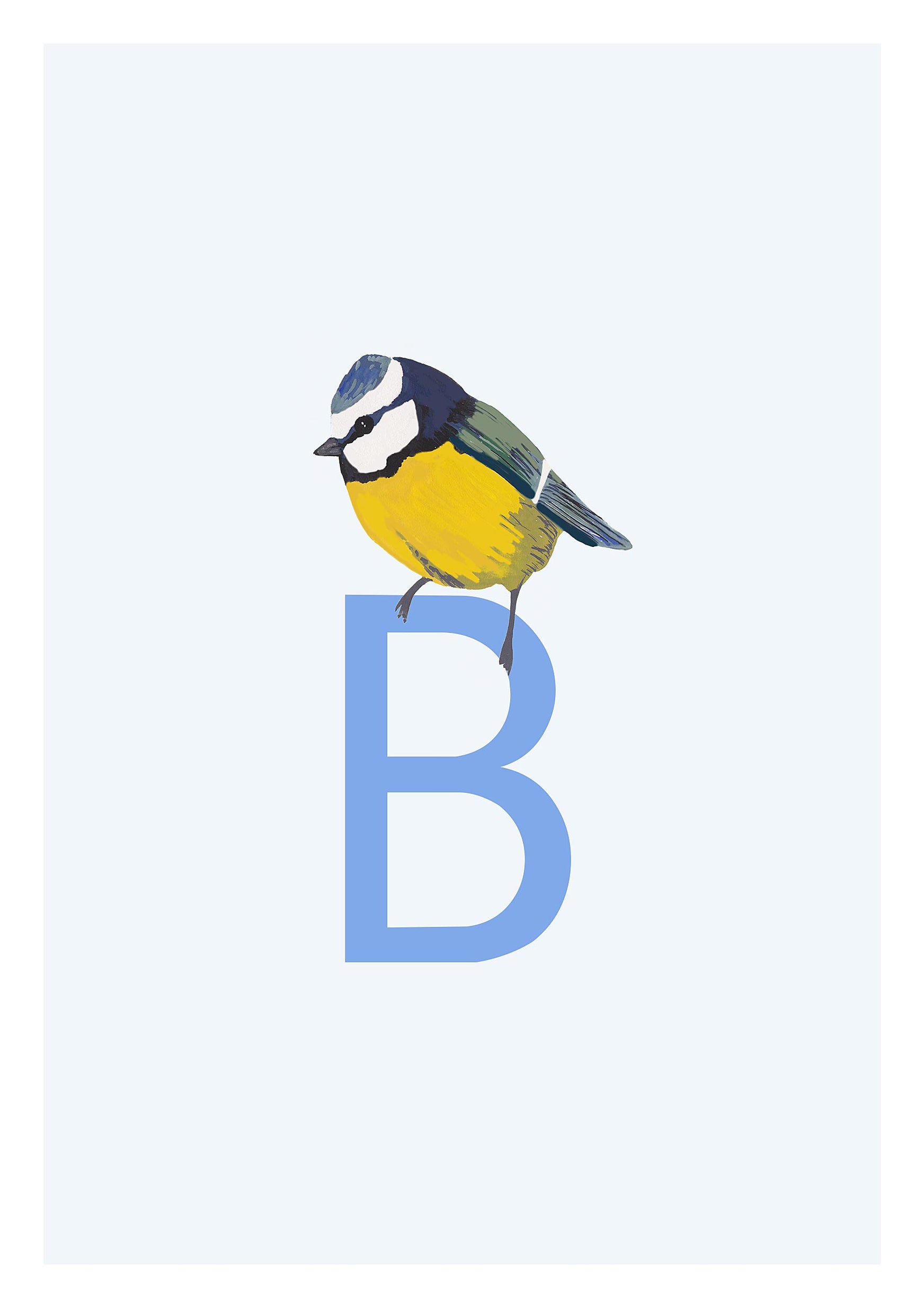 A-Z British garden bird Print. Alphabetical List of garden bird species ...