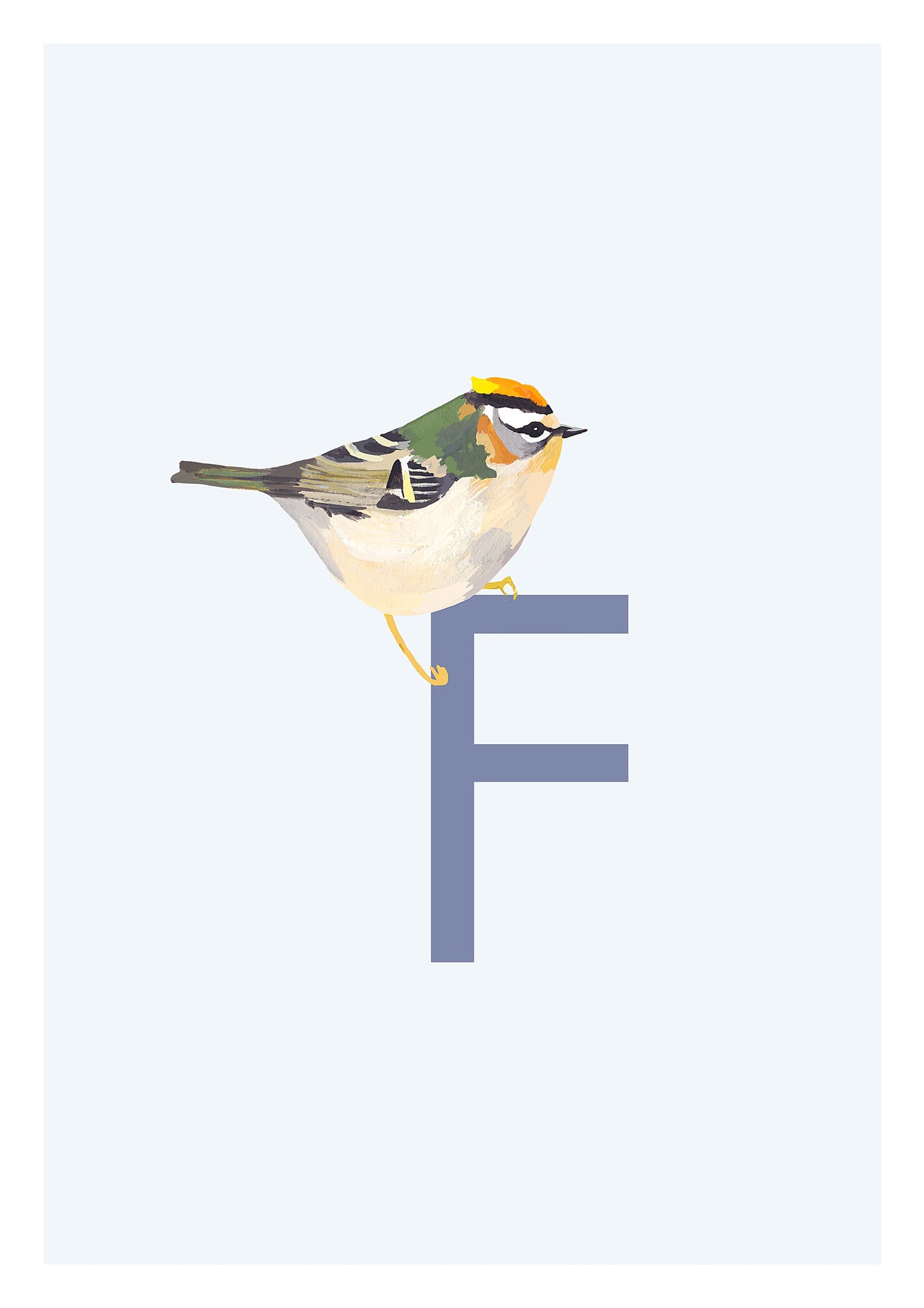 A-Z British garden bird Print. Alphabetical List of garden bird species ...