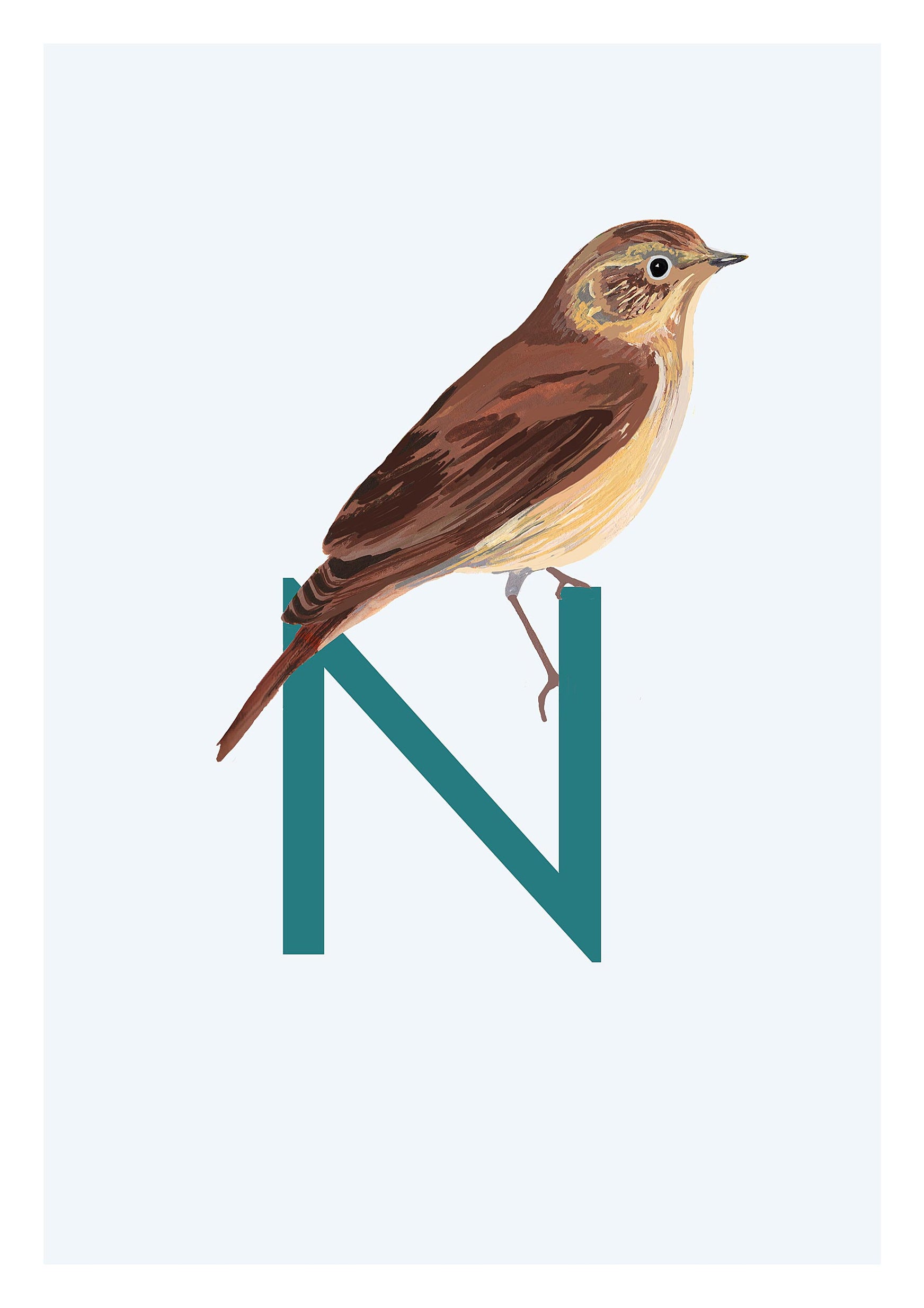 A-Z British garden bird Print. Alphabetical List of garden bird species ...