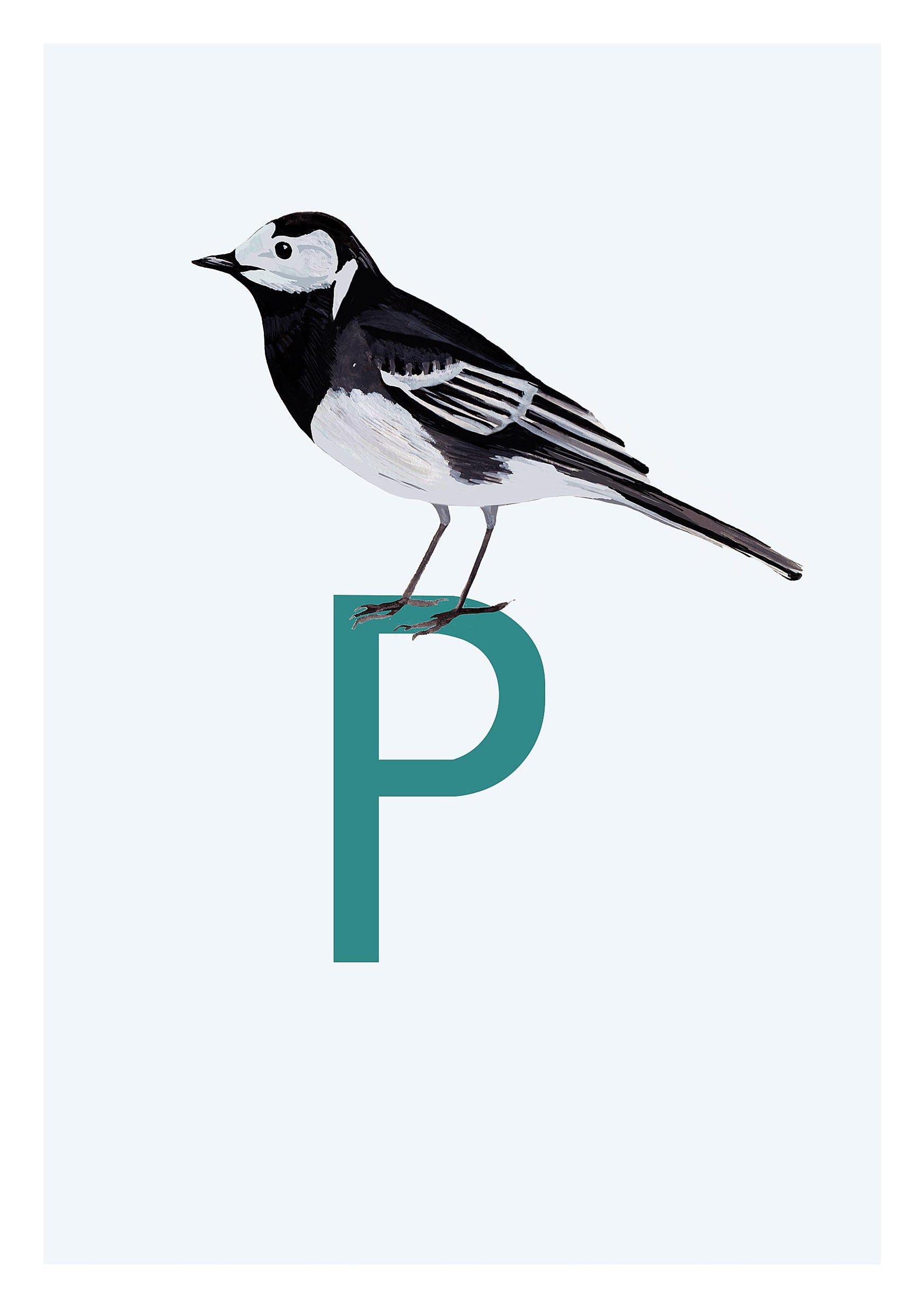 A-Z British garden bird Print. Alphabetical List of garden bird species ...