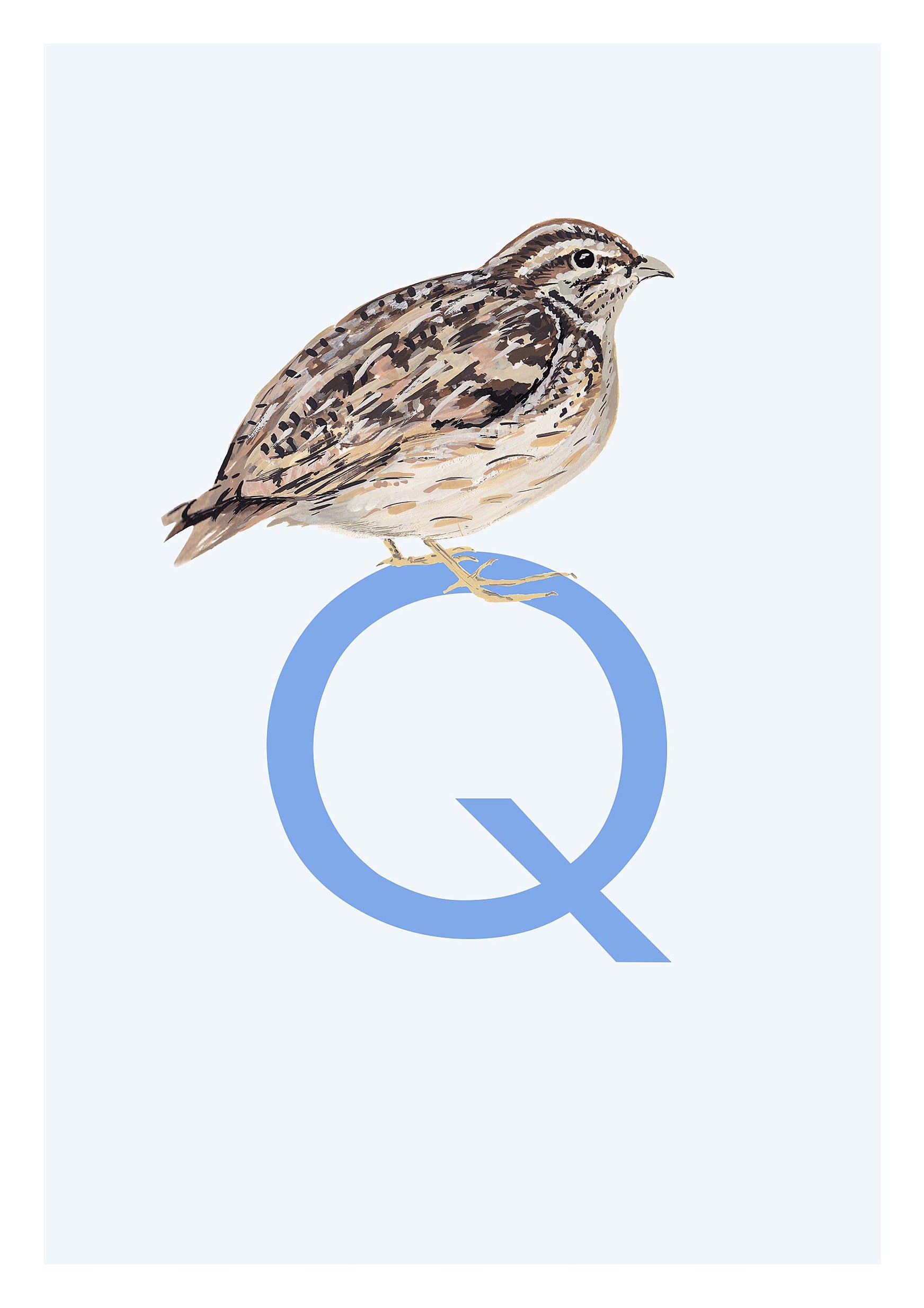 A-Z British garden bird Print. Alphabetical List of garden bird species ...