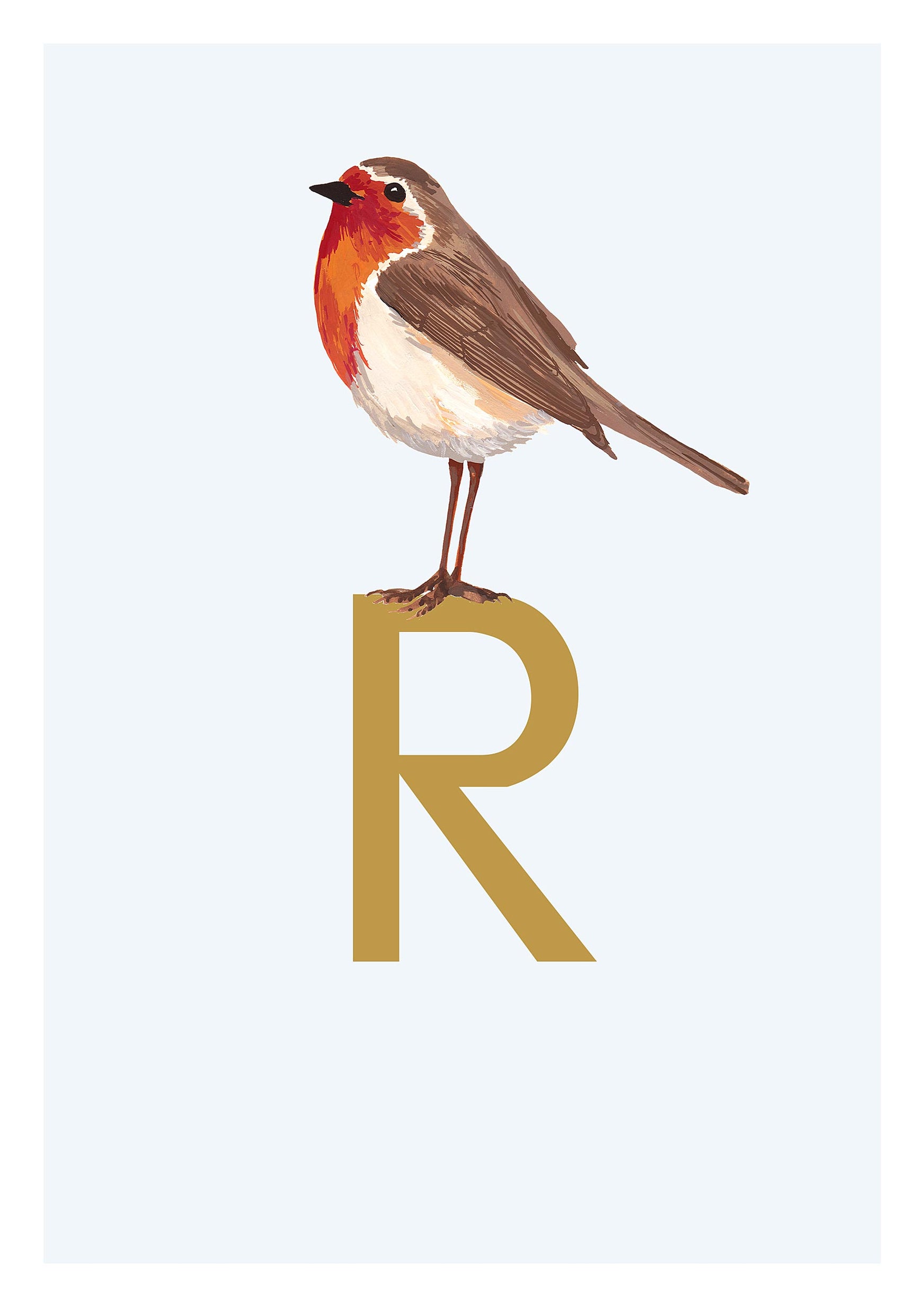 A-Z British garden bird Print. Alphabetical List of garden bird species ...