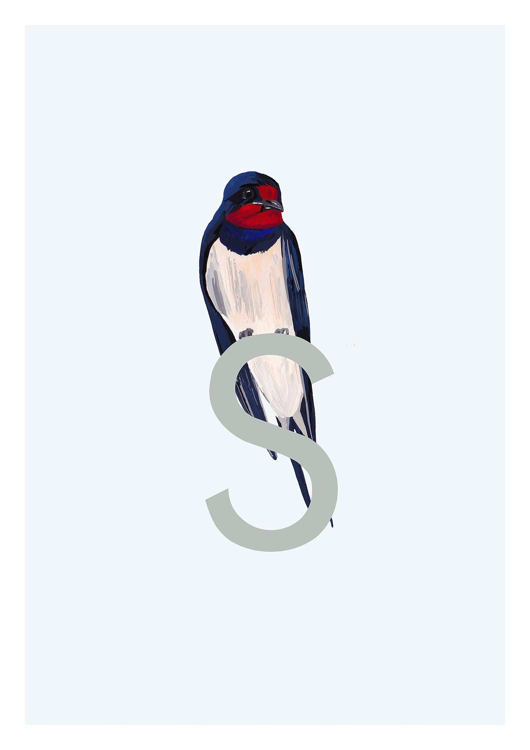 A-Z British garden bird Print. Alphabetical List of garden bird species ...