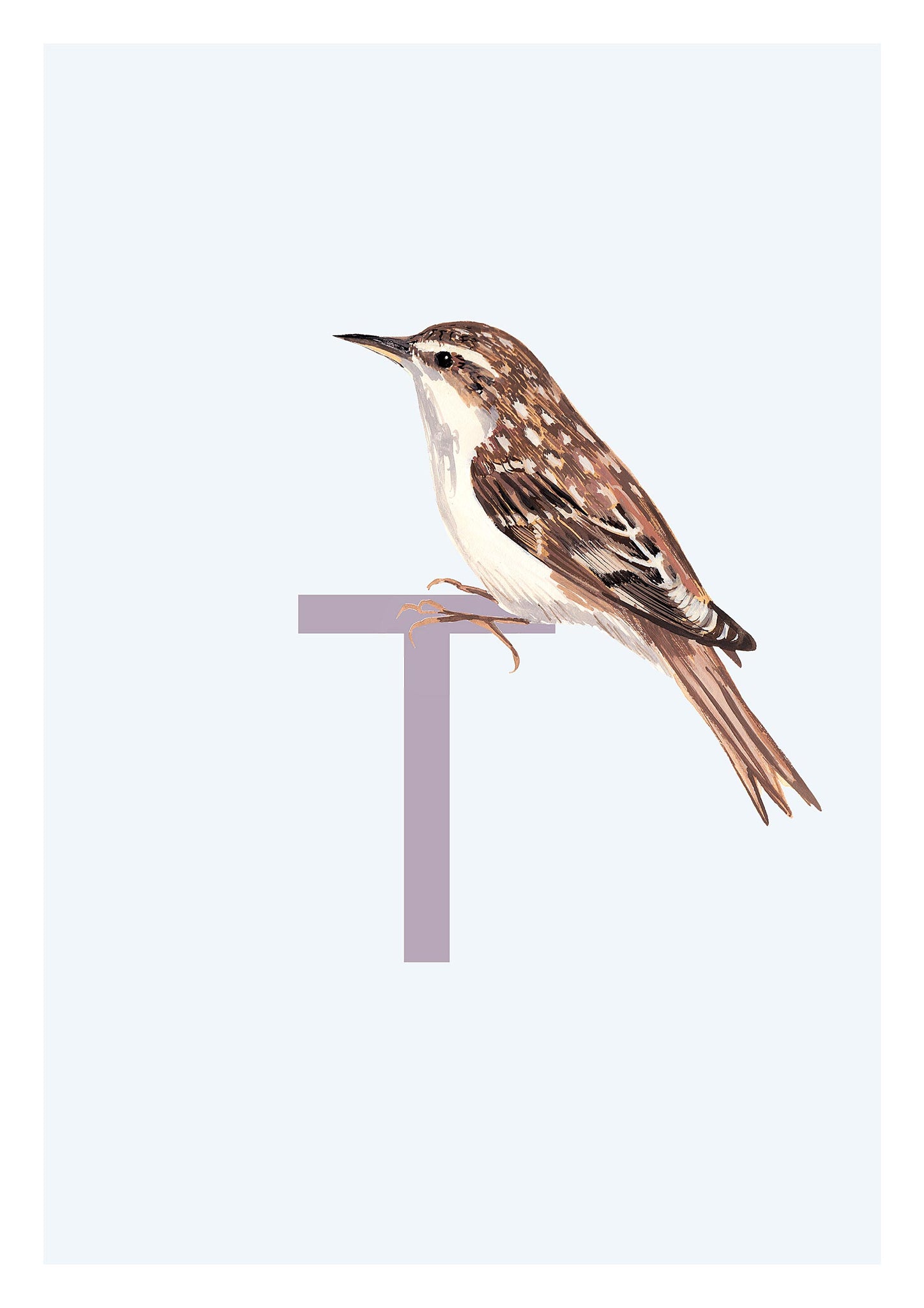 A-Z British garden bird Print. Alphabetical List of garden bird species ...