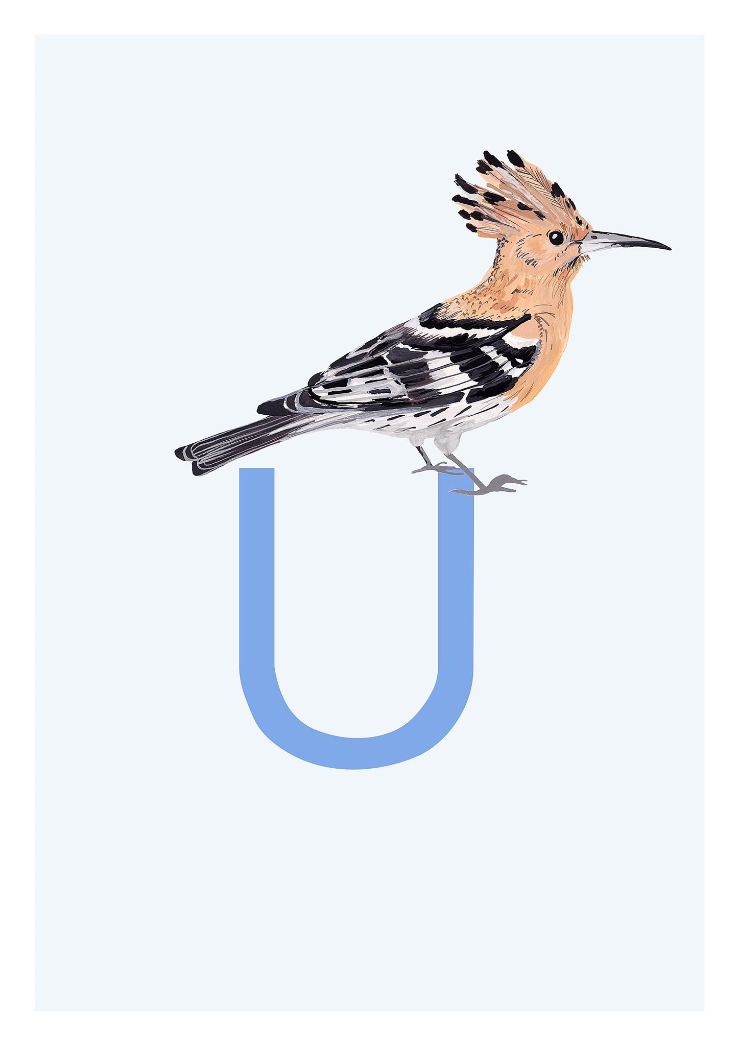 A-Z British garden bird Print. Alphabetical List of garden bird species ...
