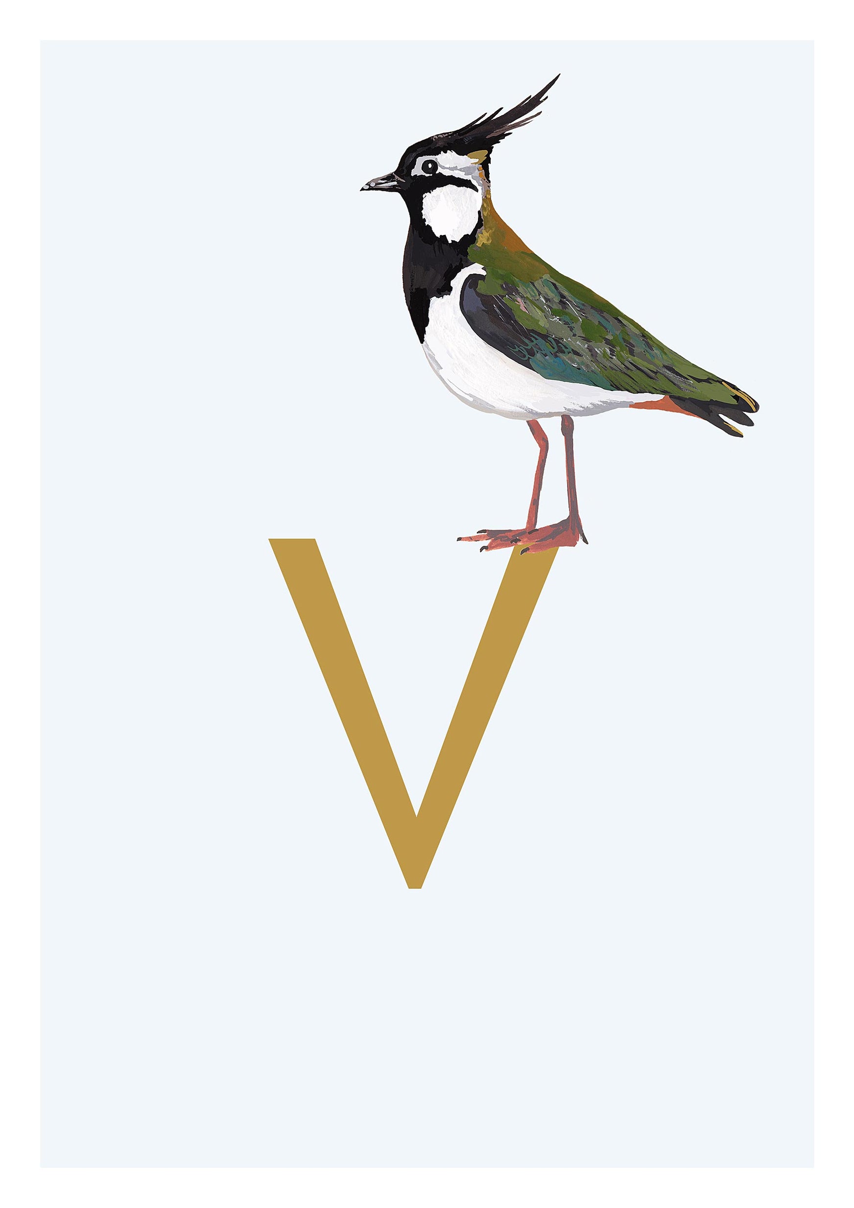 A-Z British garden bird Print. Alphabetical List of garden bird species ...