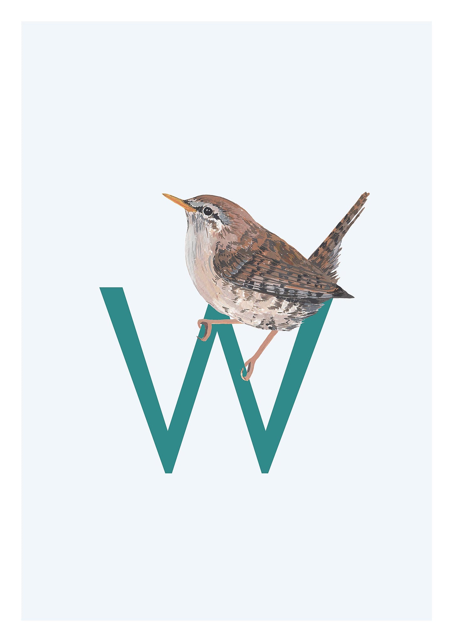 A-Z British garden bird Print. Alphabetical List of garden bird species ...