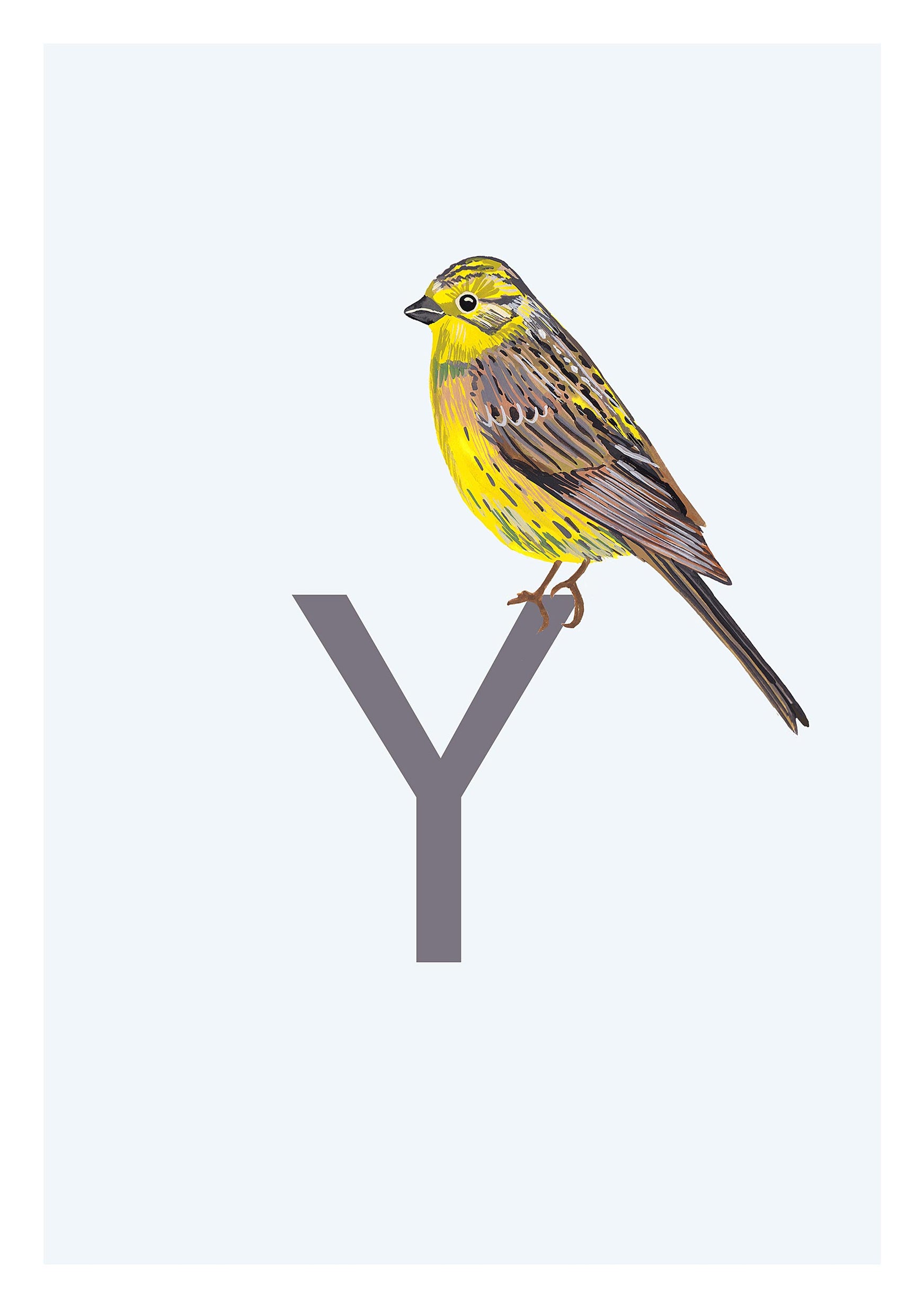 A-Z British garden bird Print. Alphabetical List of garden bird species ...