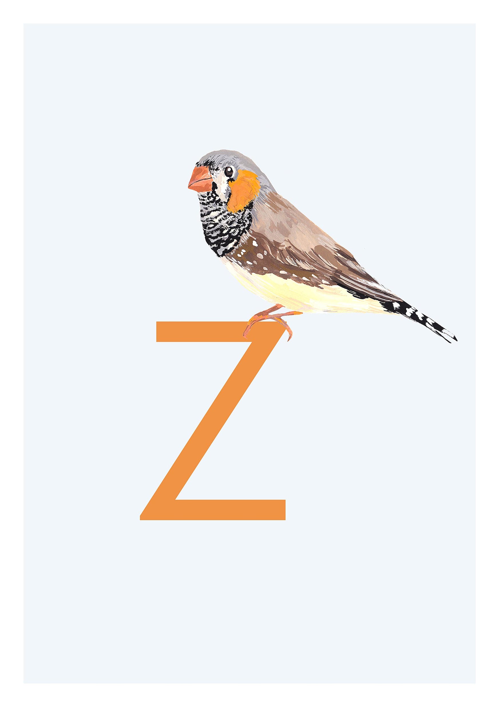 A-Z British garden bird Print. Alphabetical List of garden bird species ...