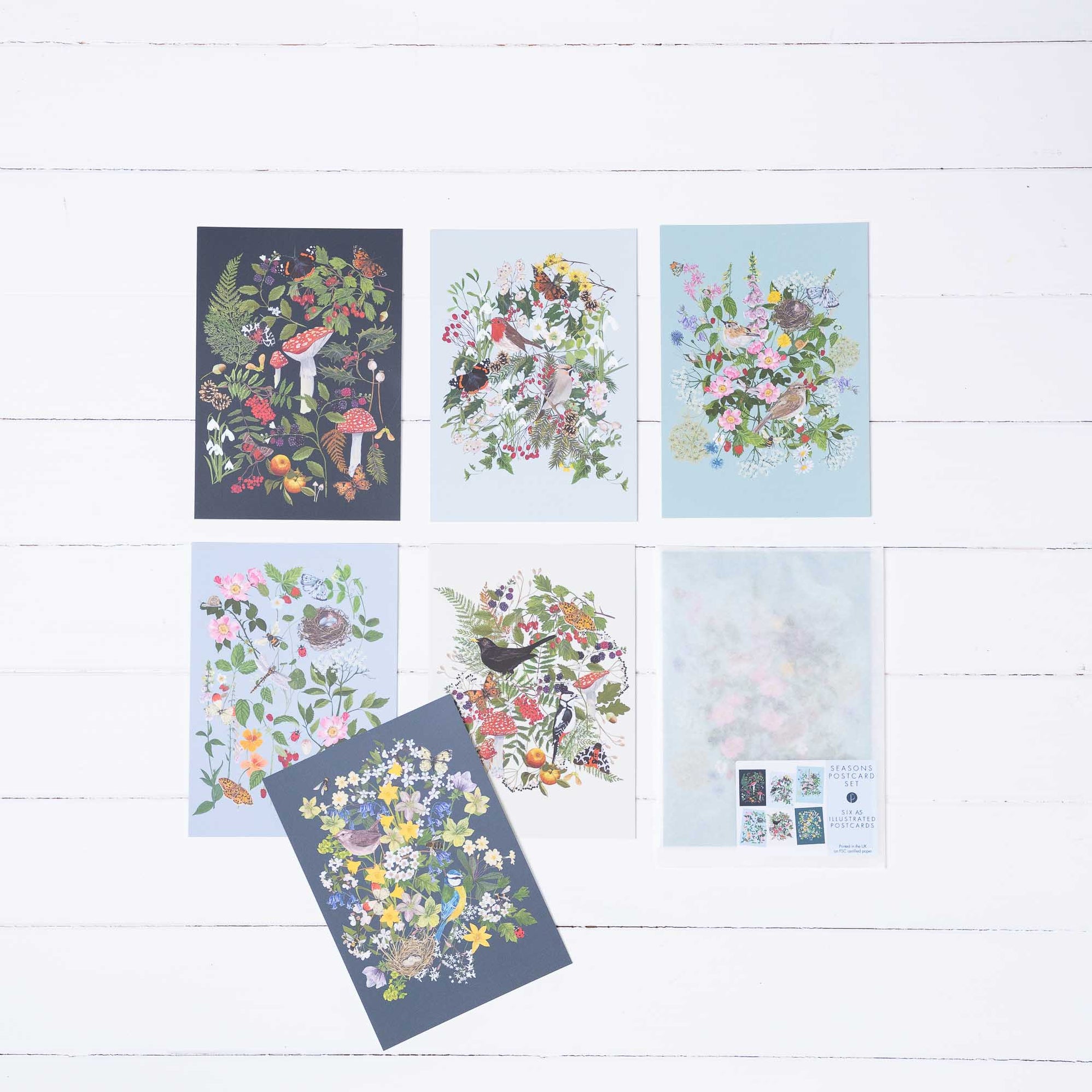 Set of six postcards – Particle Press